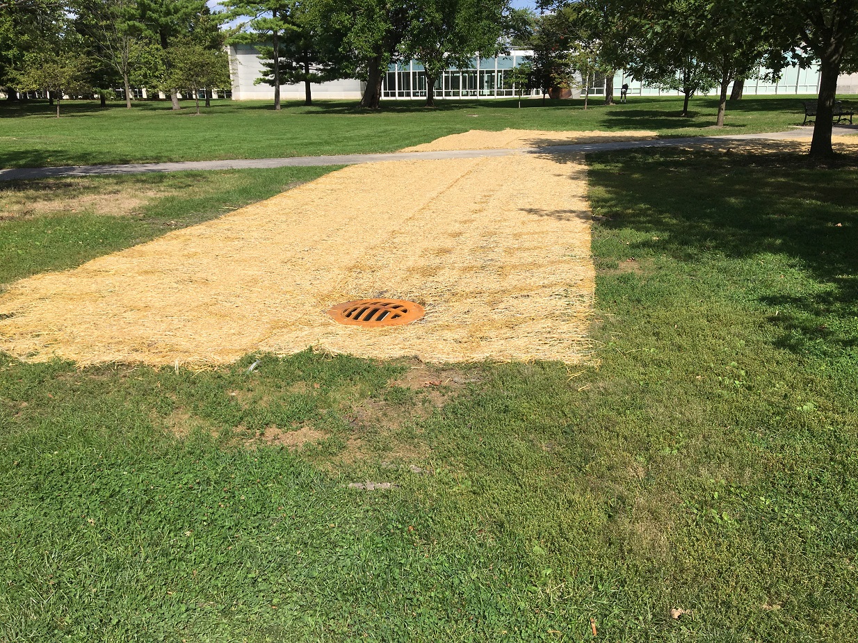 Drainage improvement projects this fall | Elmhurst Park District