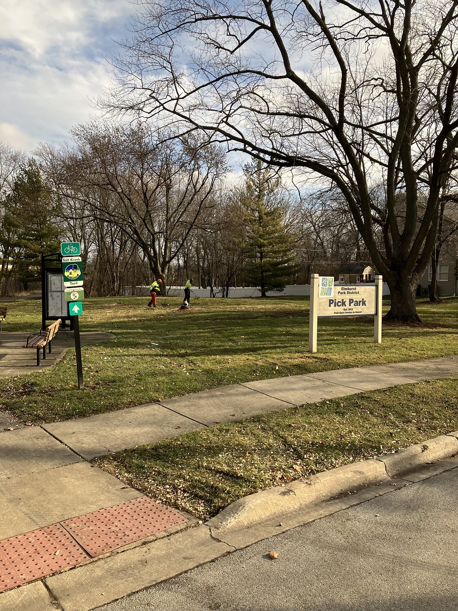 Parks staff remove trees at Pick Park in anticipation of playground ...